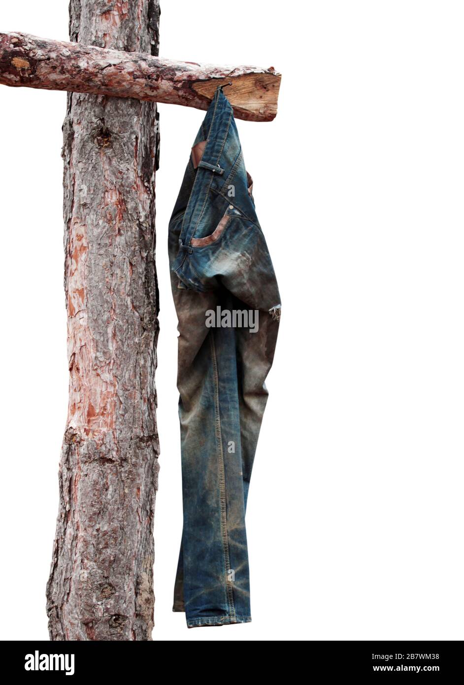 old jeans hanging on a tree Stock Photo - Alamy