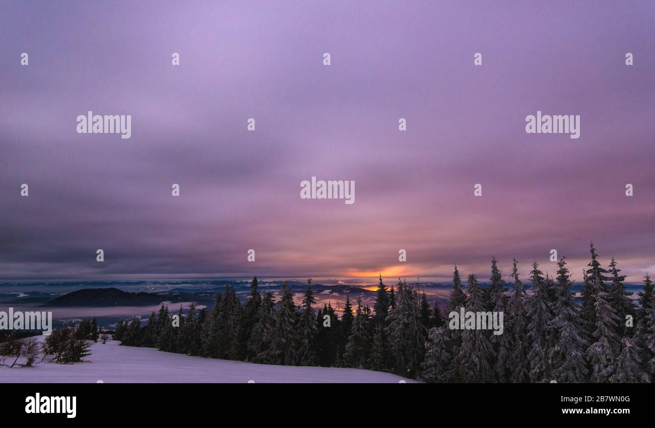 Bewitching beautiful landscape of hills and slopes with dense fir ...