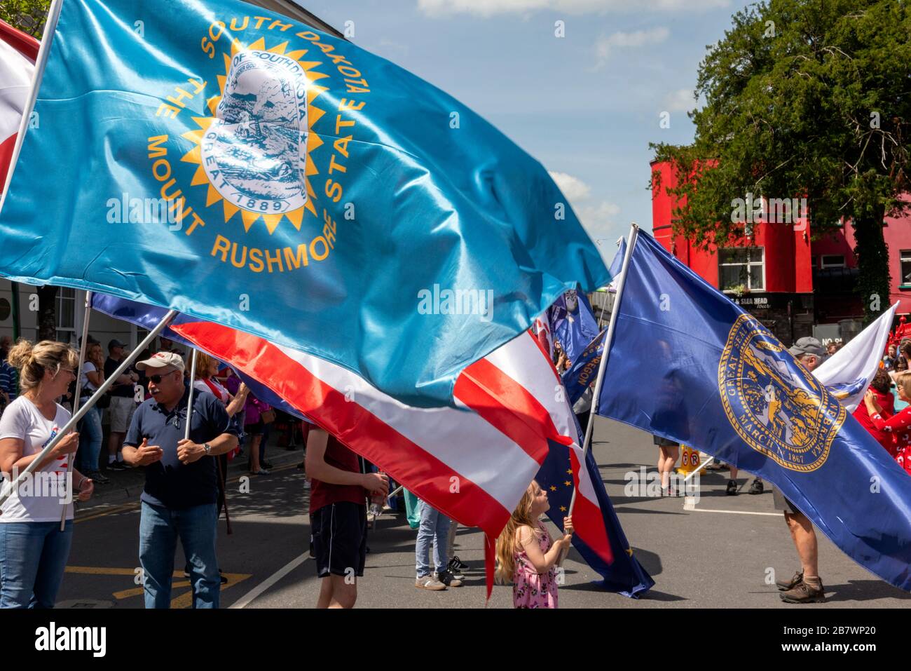 South Dakota and Mount Rushmore state flag during the 4th July and ...