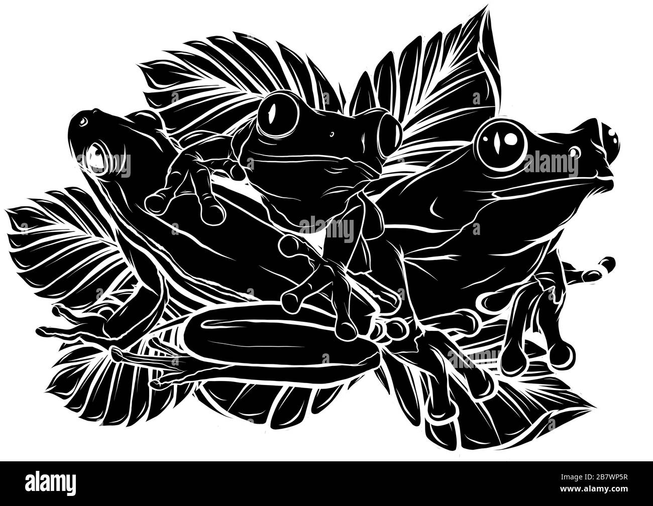 Frog vector graphics hi-res stock photography and images - Alamy