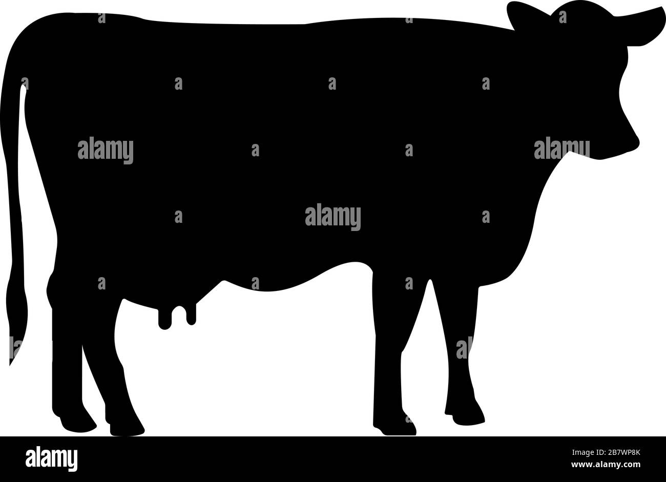 Grazing beef cattle bull Stock Vector Images - Alamy
