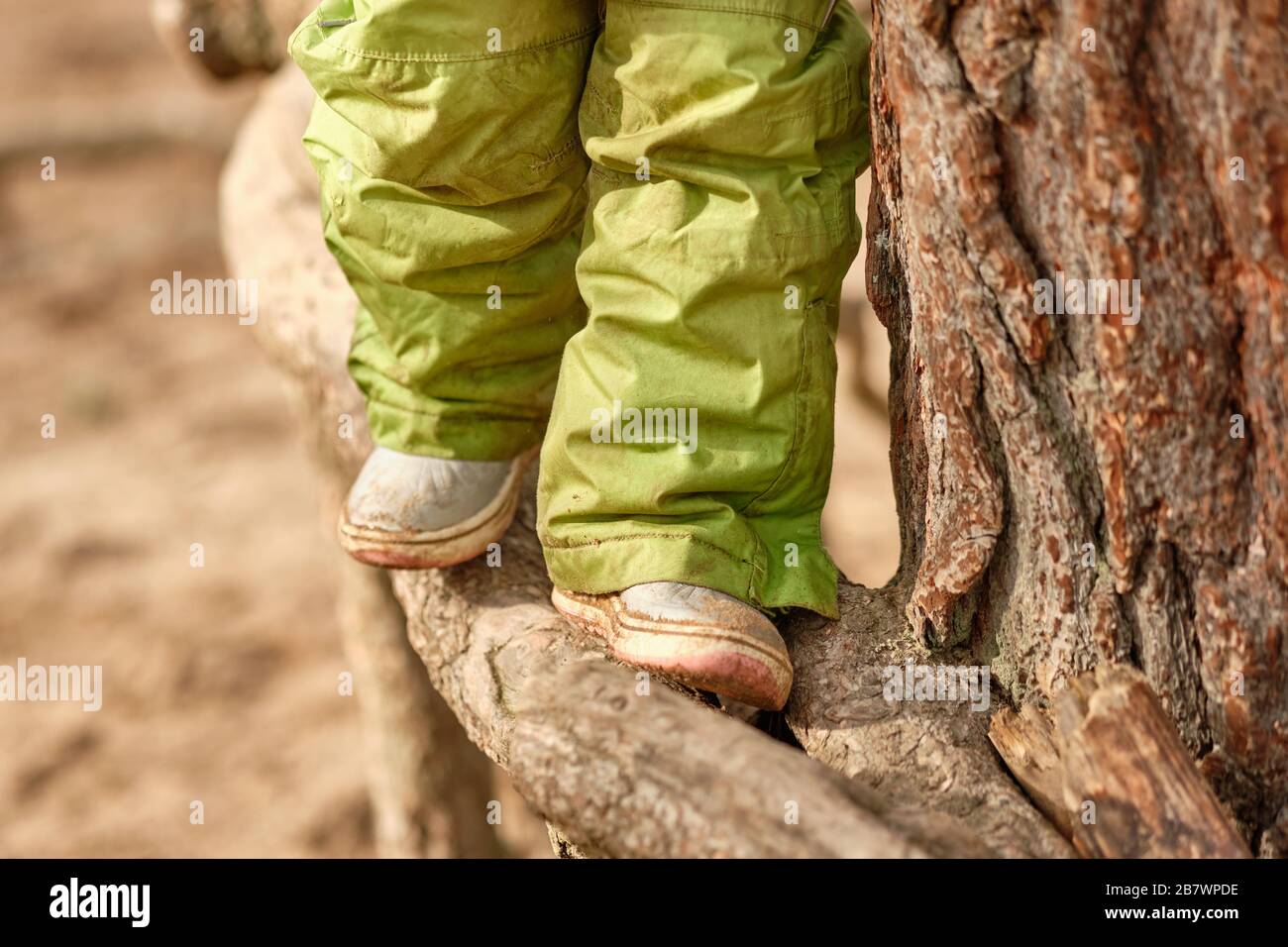 Girl climbing tree root hi-res stock photography and images - Alamy