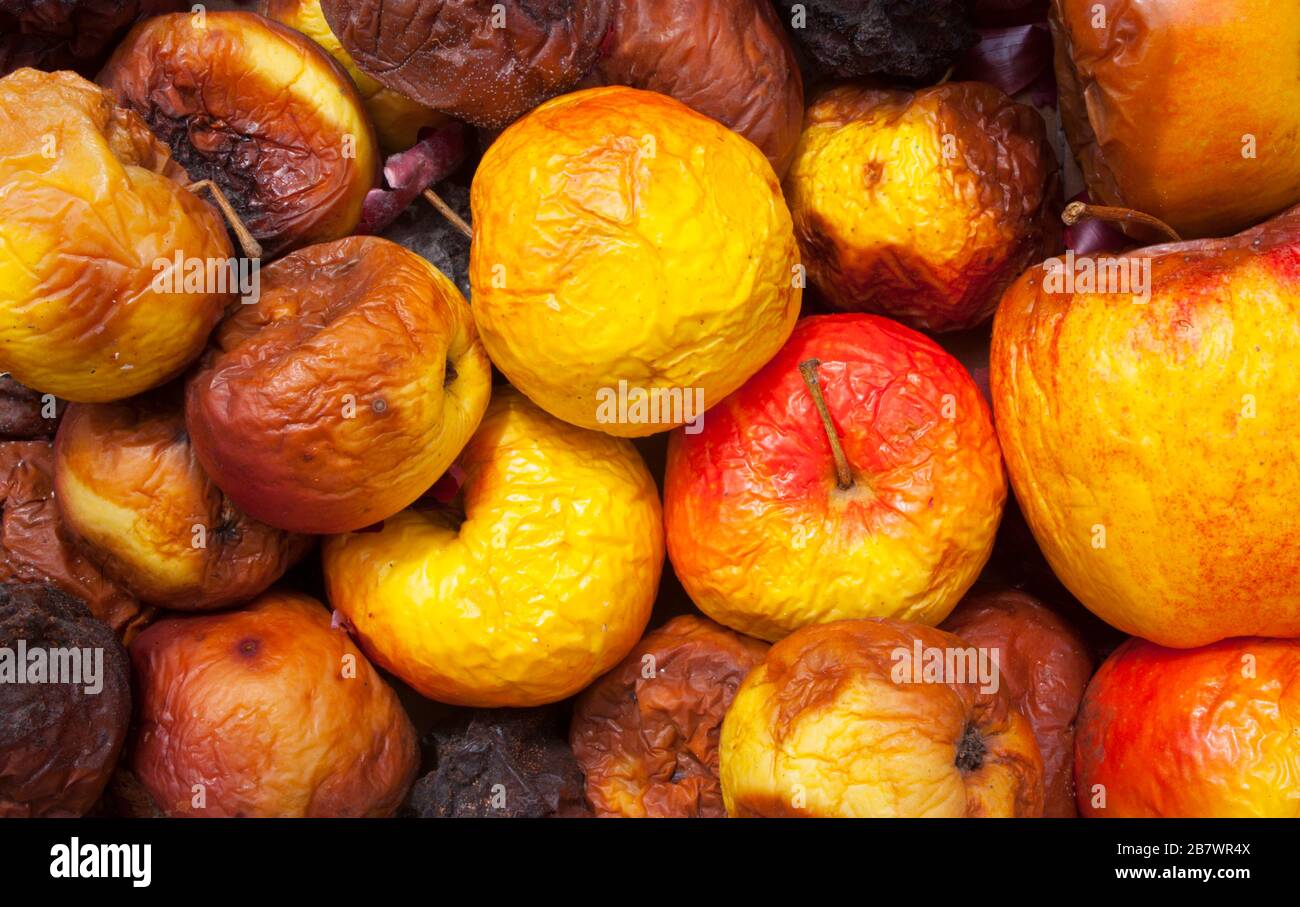 Rotten apples hi-res stock photography and images - Alamy