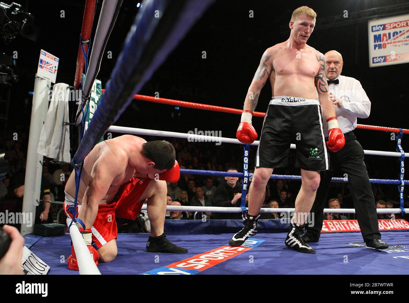Tom Dallas Boxer