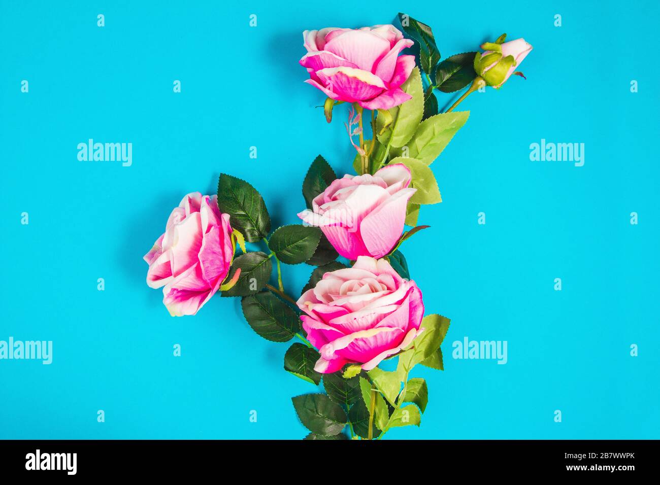 Beautiful spring flowers on a pastel color background Stock Photo - Alamy