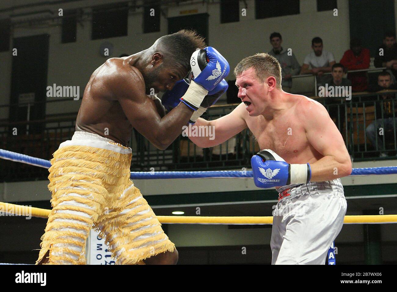 Menay Edwards (gold shorts) defeats Billy Boyle in a Light-Heavyweight ...