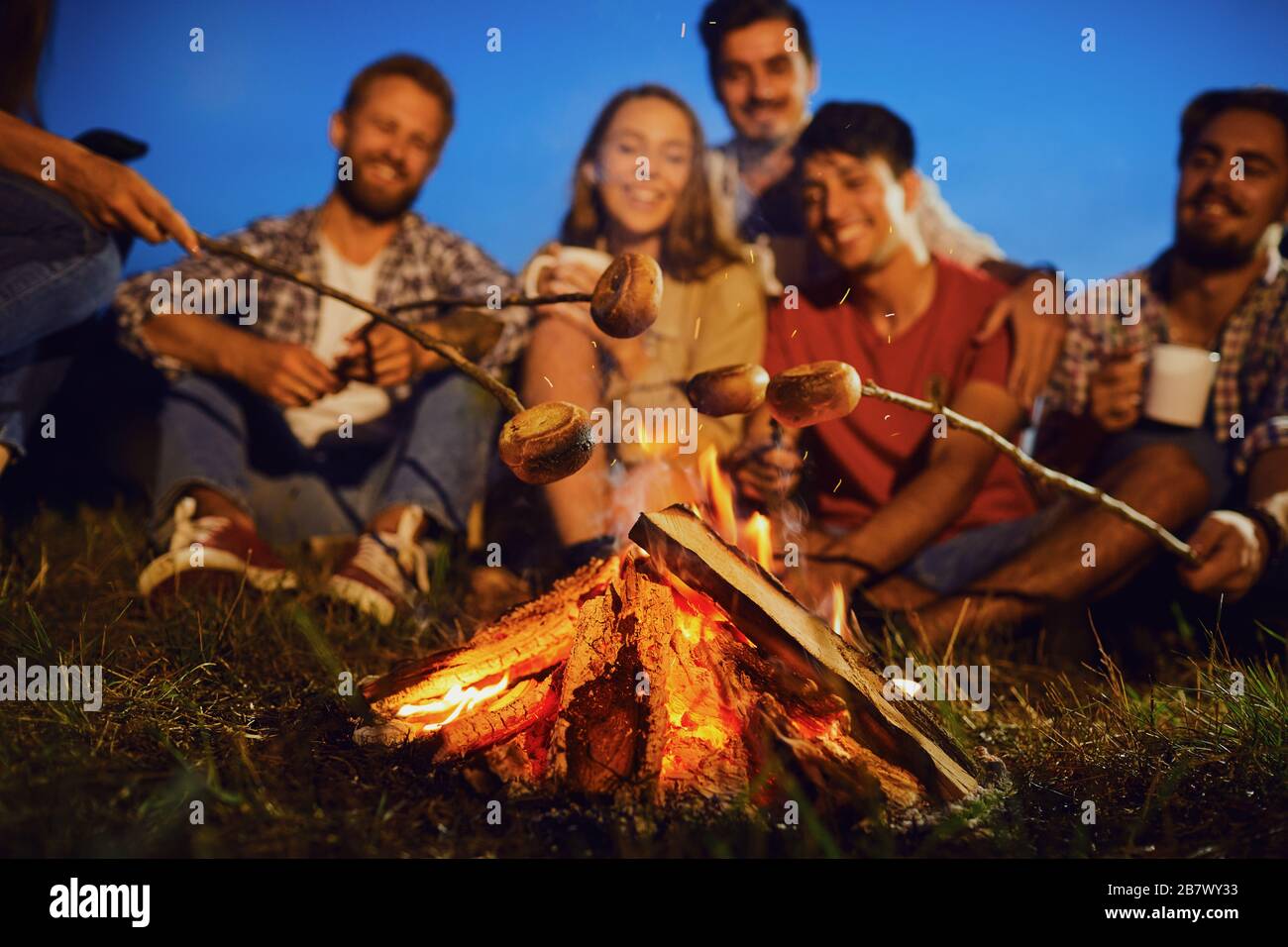 Bonfire at night on a background of young smiling people on a picnic in ...