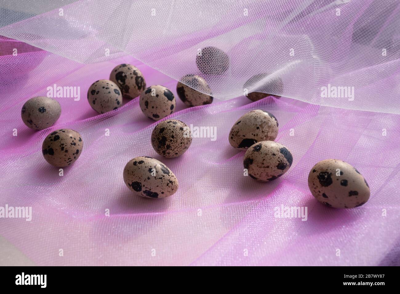 Easter quail eggs on the pink and white background Stock Photo - Alamy
