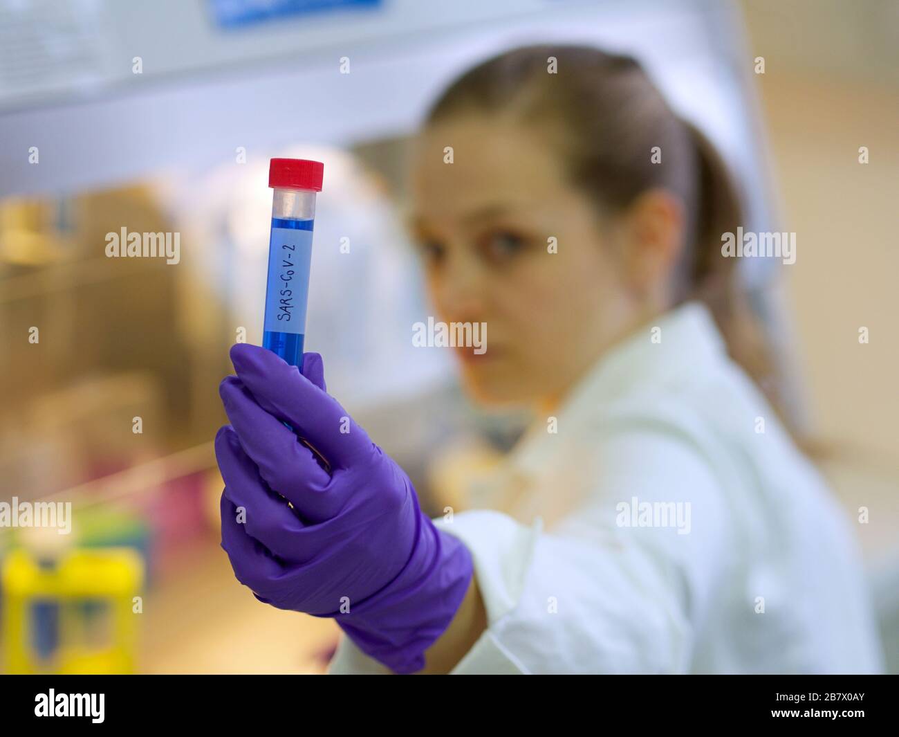 Lab worker, laboratory testing, Sars-CoV-19, test tubes, laboratory ...