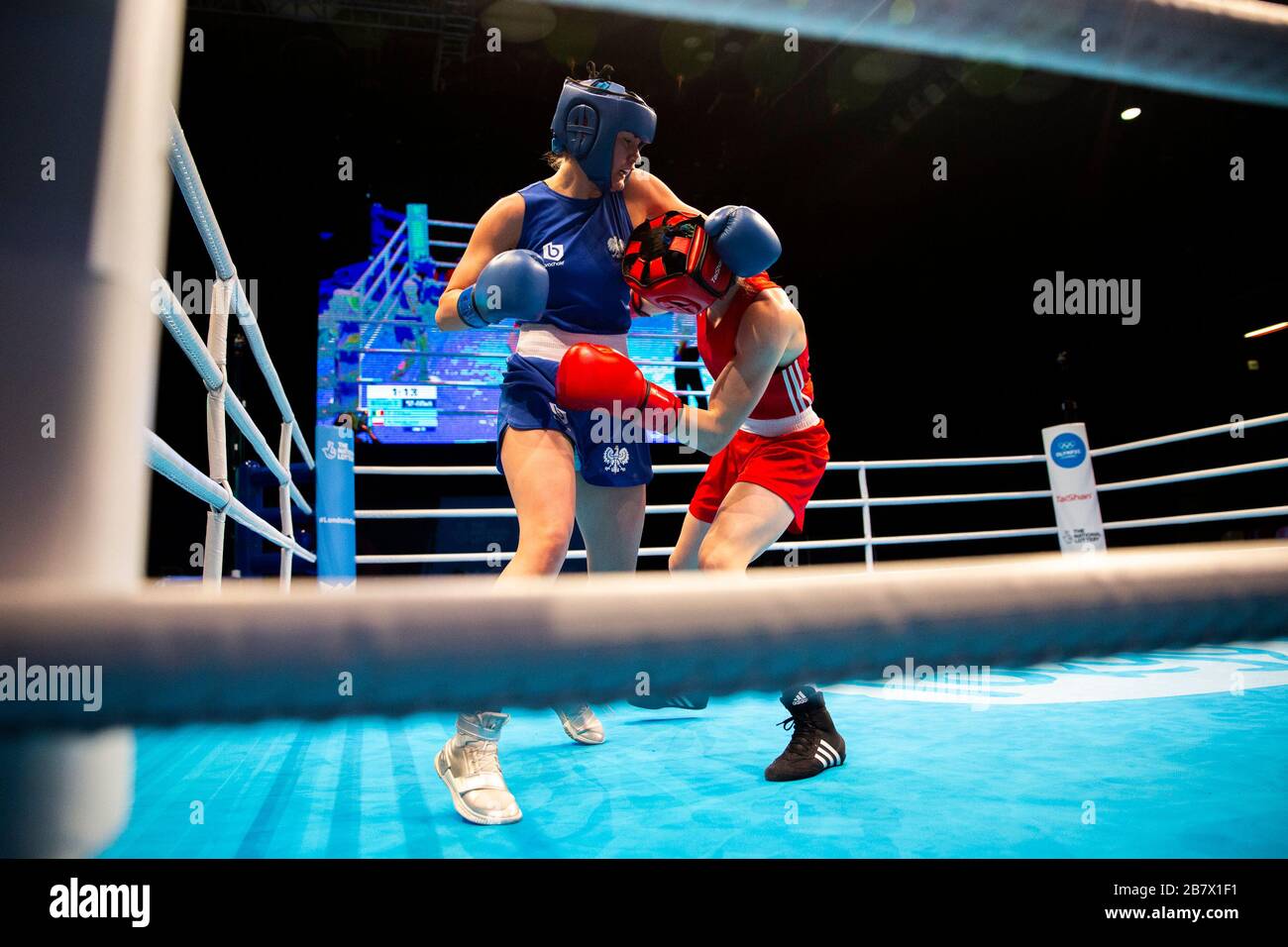Polish female boxer hi-res stock photography and images - Alamy