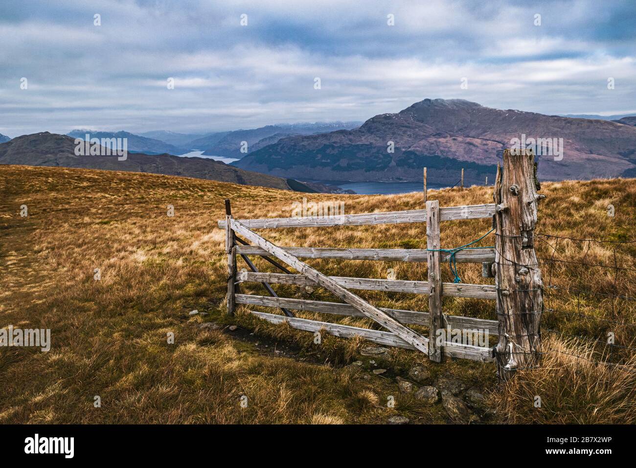 Scottish rural scenery hi-res stock photography and images - Alamy
