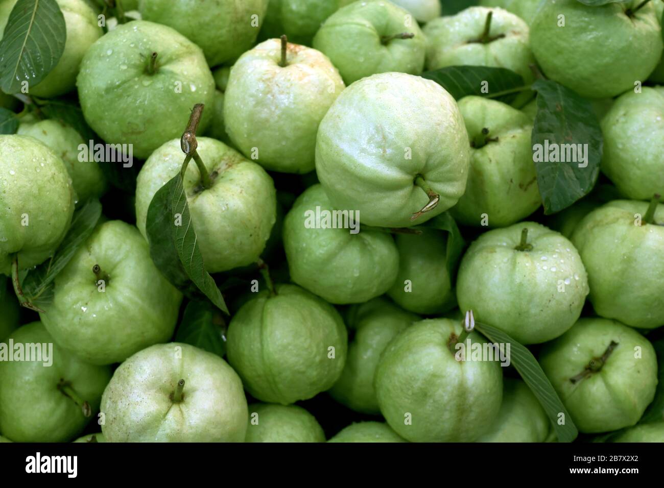 Panama Market Fruit High Resolution Stock Photography and Images - Alamy