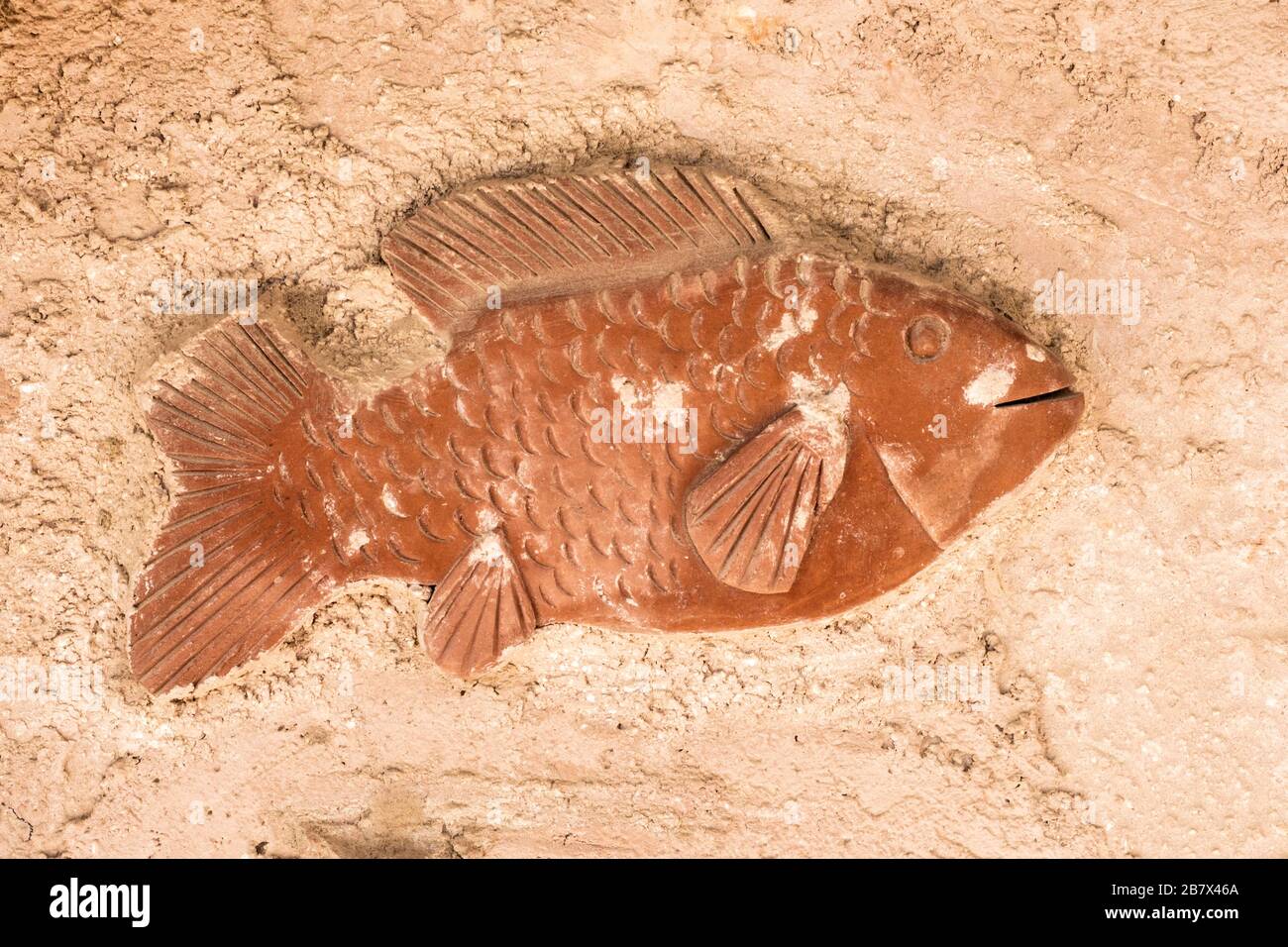 Ancient Greek Fish