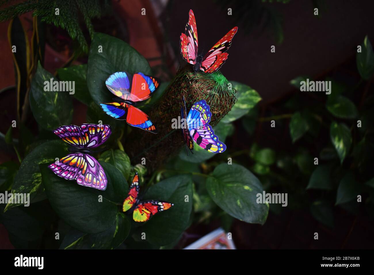 Assorted colourful Butterflies for Garden decoration on coir stick pole ...