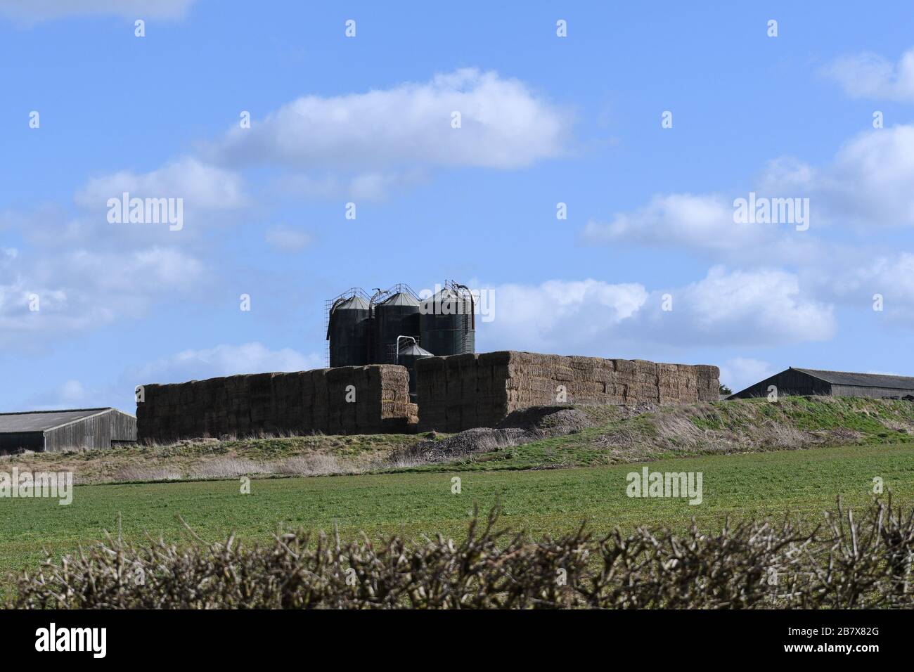 hay bales stack up at a farm Stock Photo - Alamy