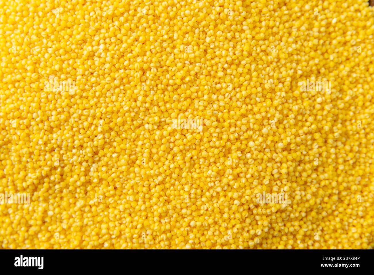 Corn millet hi-res stock photography and images - Alamy