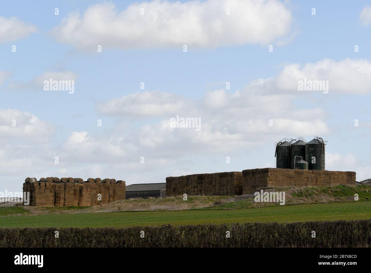 hay bales stack up at a farm Stock Photo - Alamy