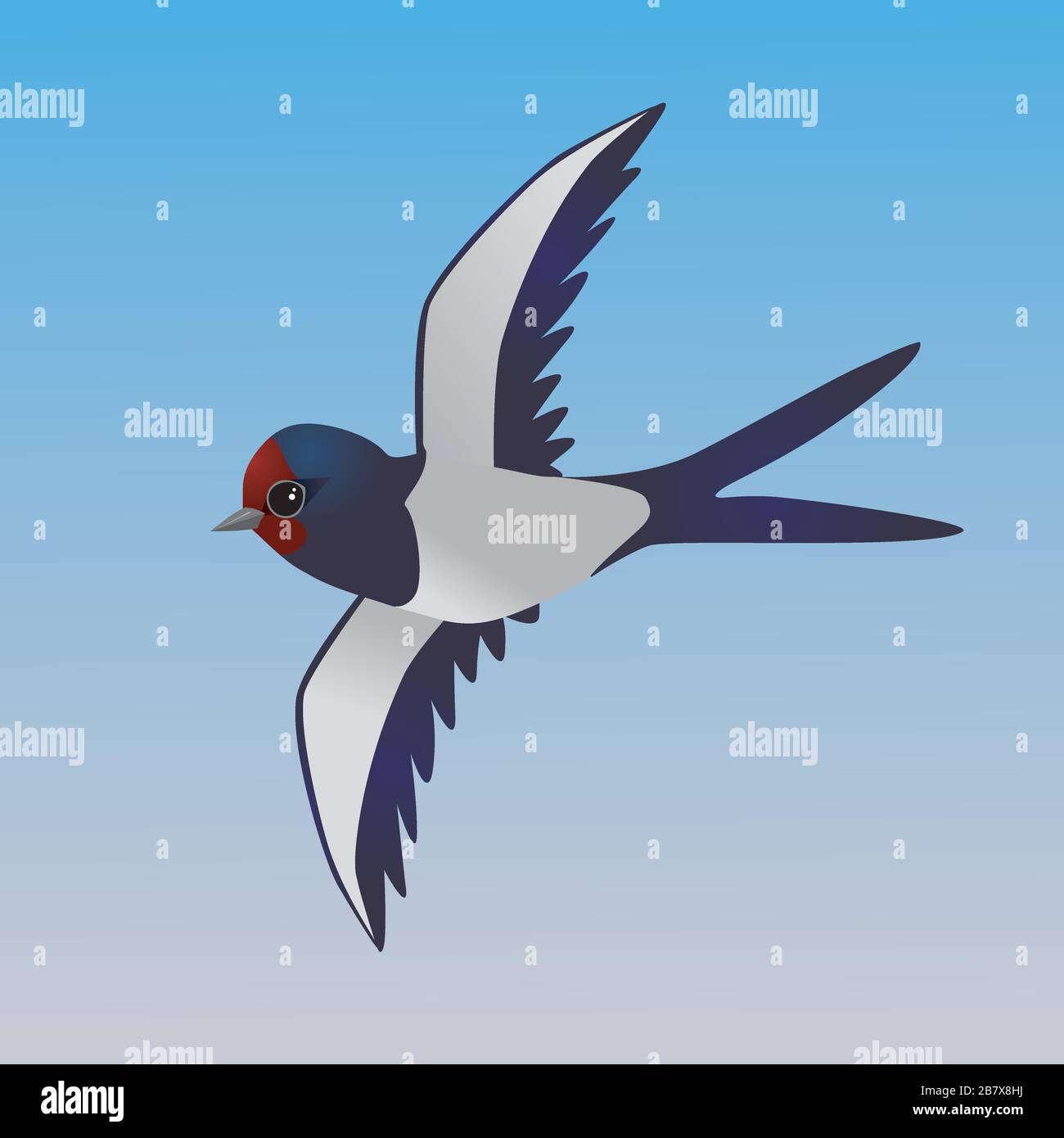 Barn swallow birds Stock Vector Images - Alamy