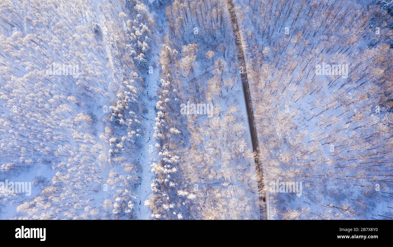 Road in snowy winter forest bird's eye view Stock Photo - Alamy