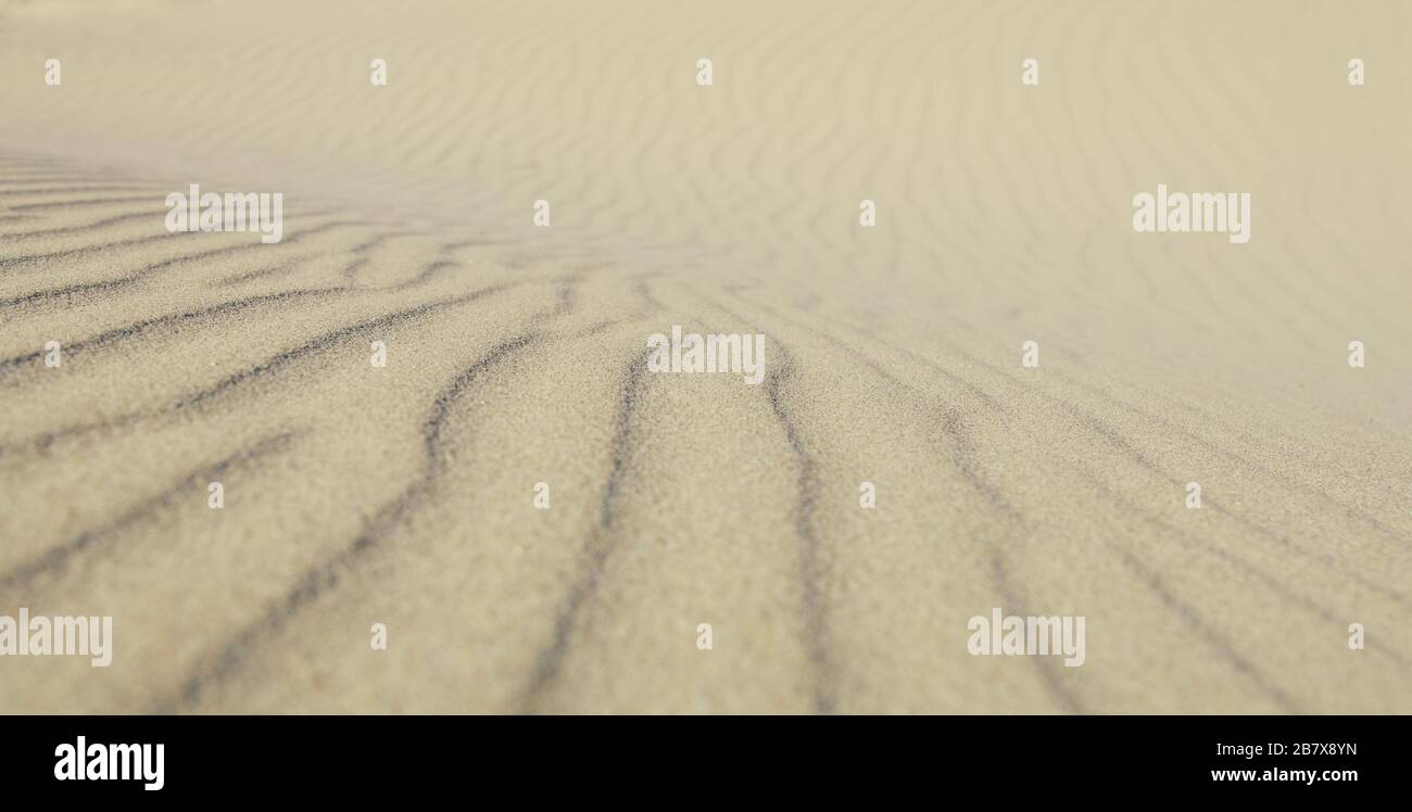 Golden sands nature park hi-res stock photography and images - Alamy