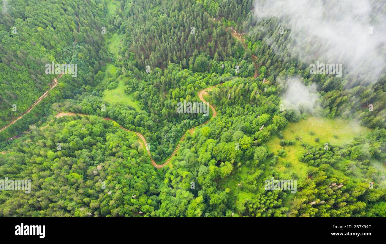 Aerial view over foliage forest hi-res stock photography and images - Alamy