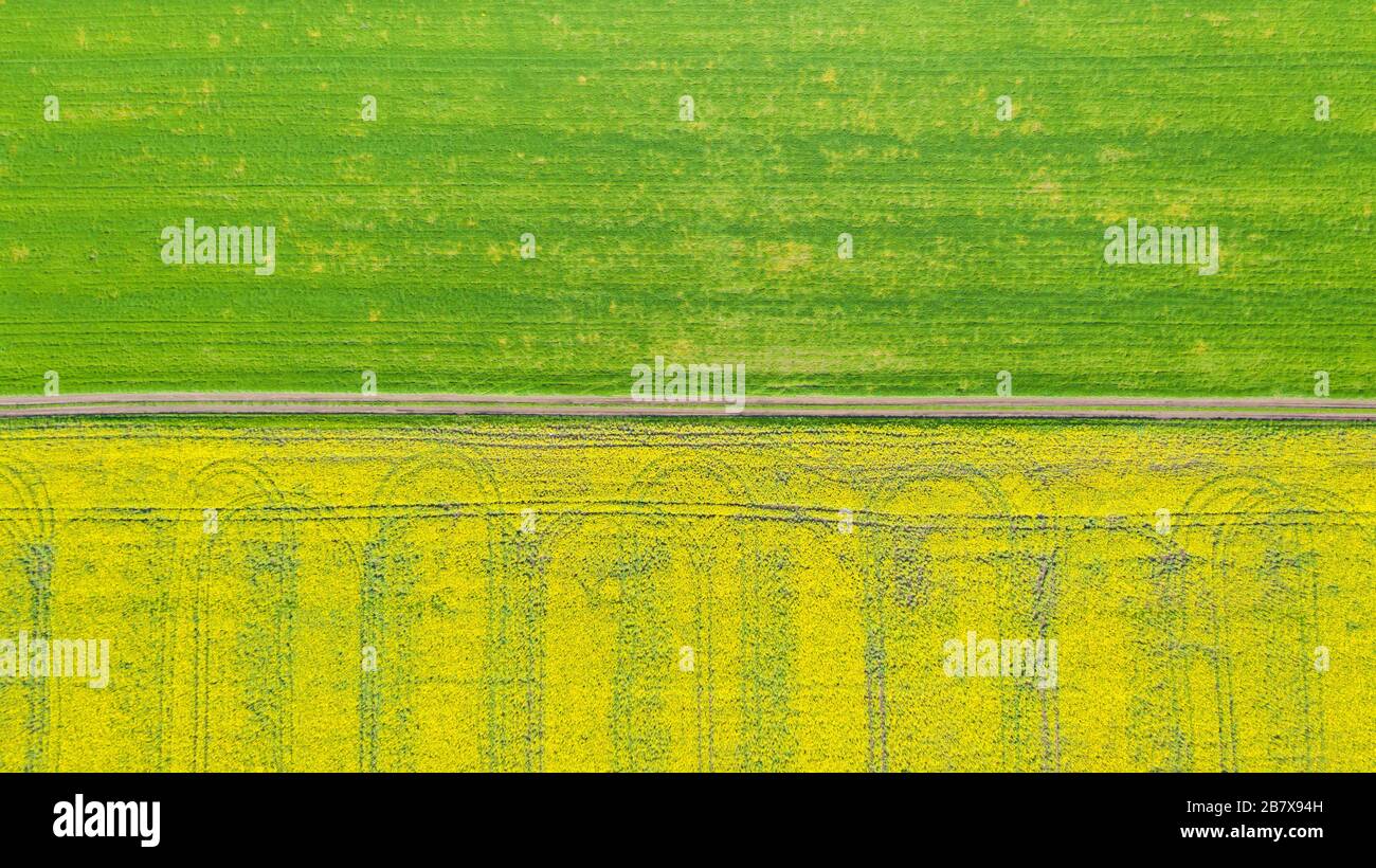 Aerial view of summer fields. Yellow fields from above. Photo captured ...