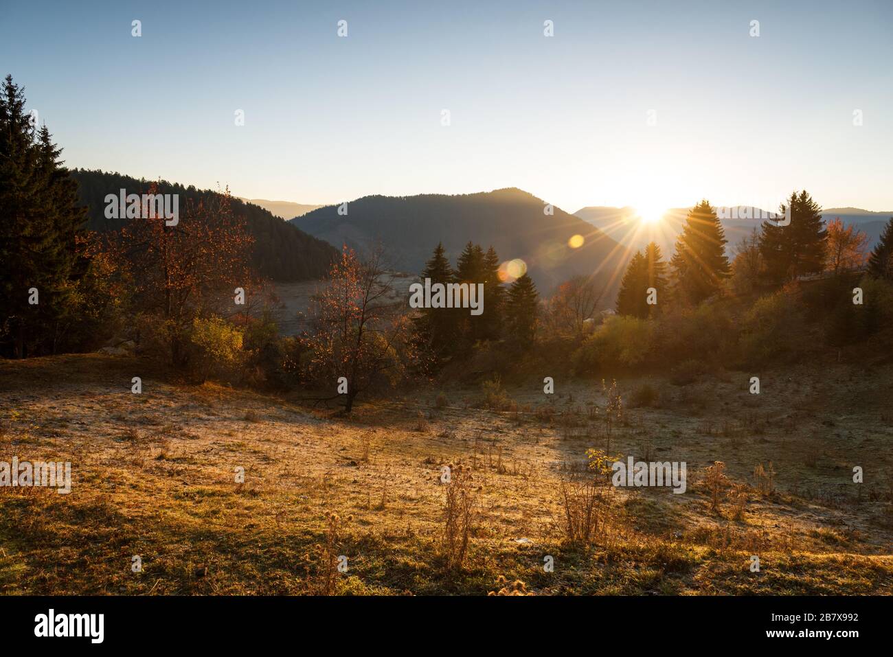 Sunlight fall forest leaves beams hi-res stock photography and images ...
