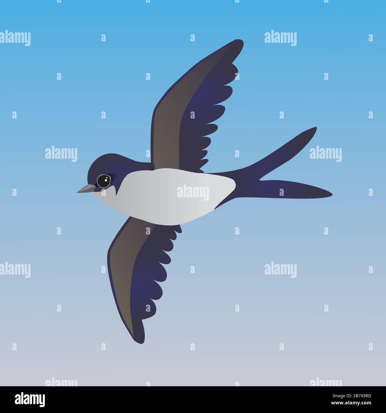 House martin flying Stock Vector Images - Alamy