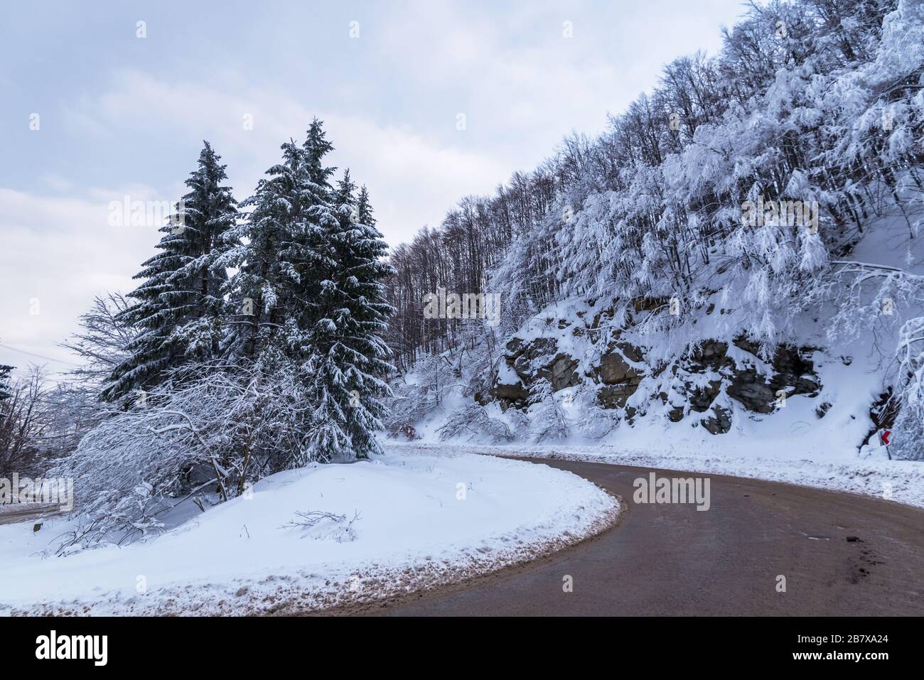 Mountain winter road through the forest Stock Photo - Alamy