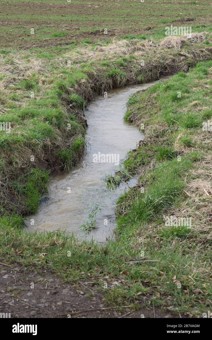 Thürer Wiesen in early spring 2020 Stock Photo - Alamy