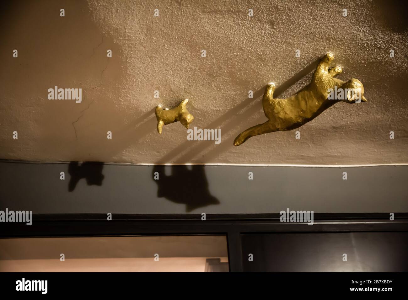 Walking on the ceiling hi-res stock photography and images - Alamy