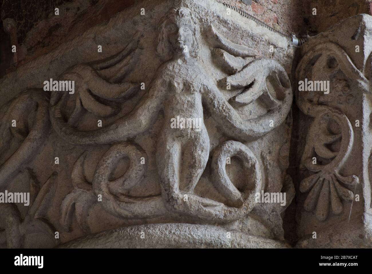 Bestiary hi-res stock photography and images - Alamy