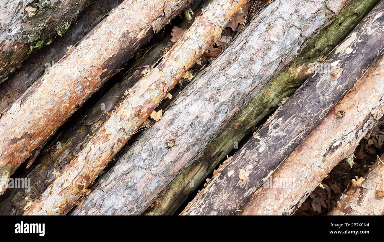 Firewood on big pile , top view, beautiful wooden logs. background of ...