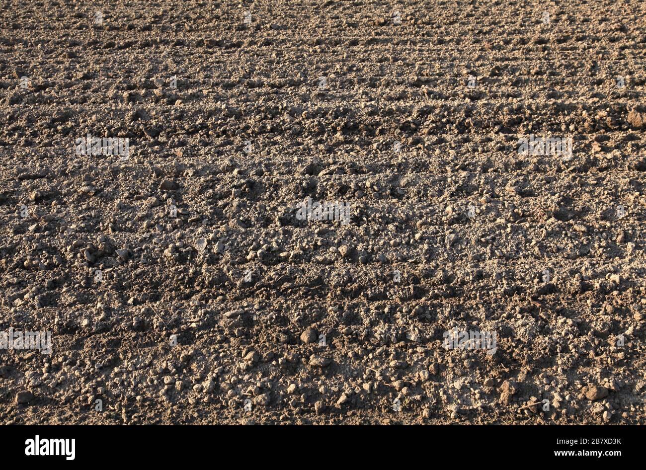 Plowed field background and texture. Spring agricultural works before ...