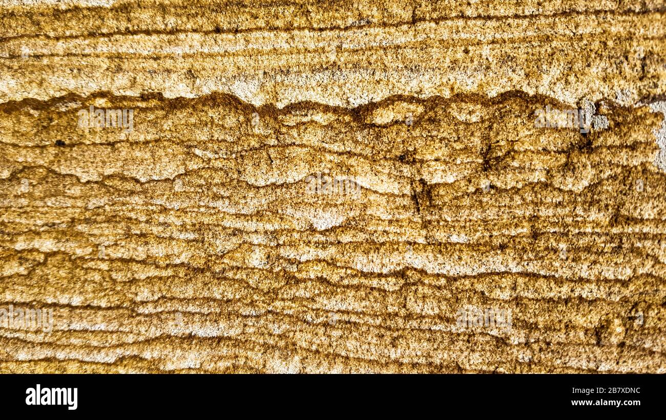 The surface of Sandstone with wavy brown veins. Sulphide agate texture ...