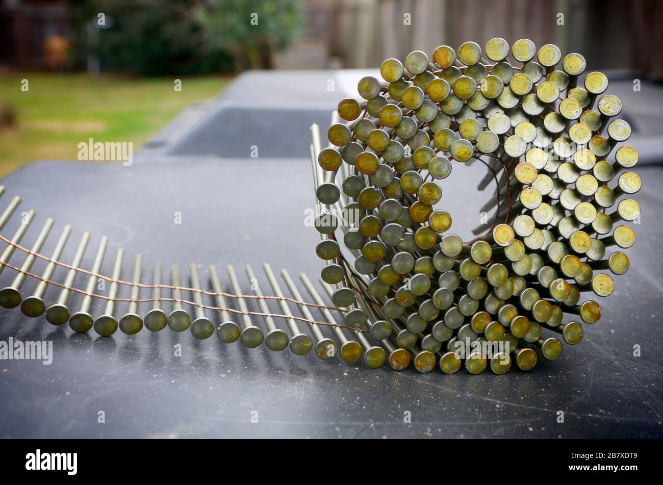 A coil of nails in roll for pneumatic nail gun Stock Photo - Alamy