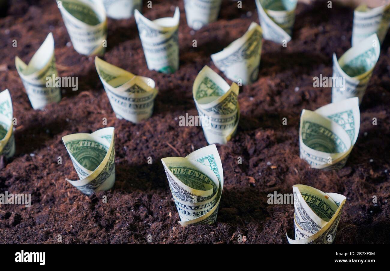 Bank Ground High Resolution Stock Photography and Images - Alamy