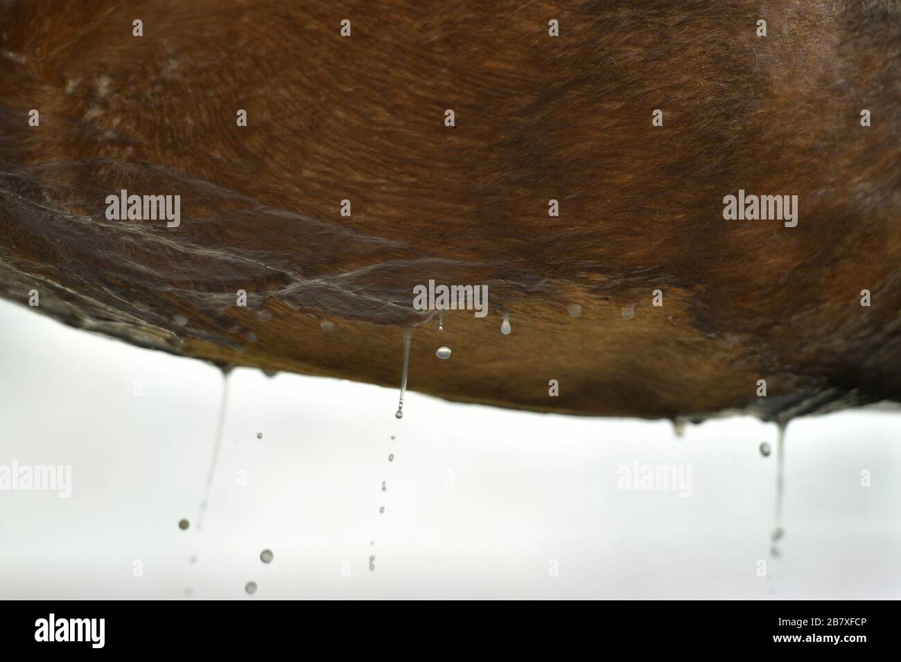 Moist body hi-res stock photography and images - Alamy