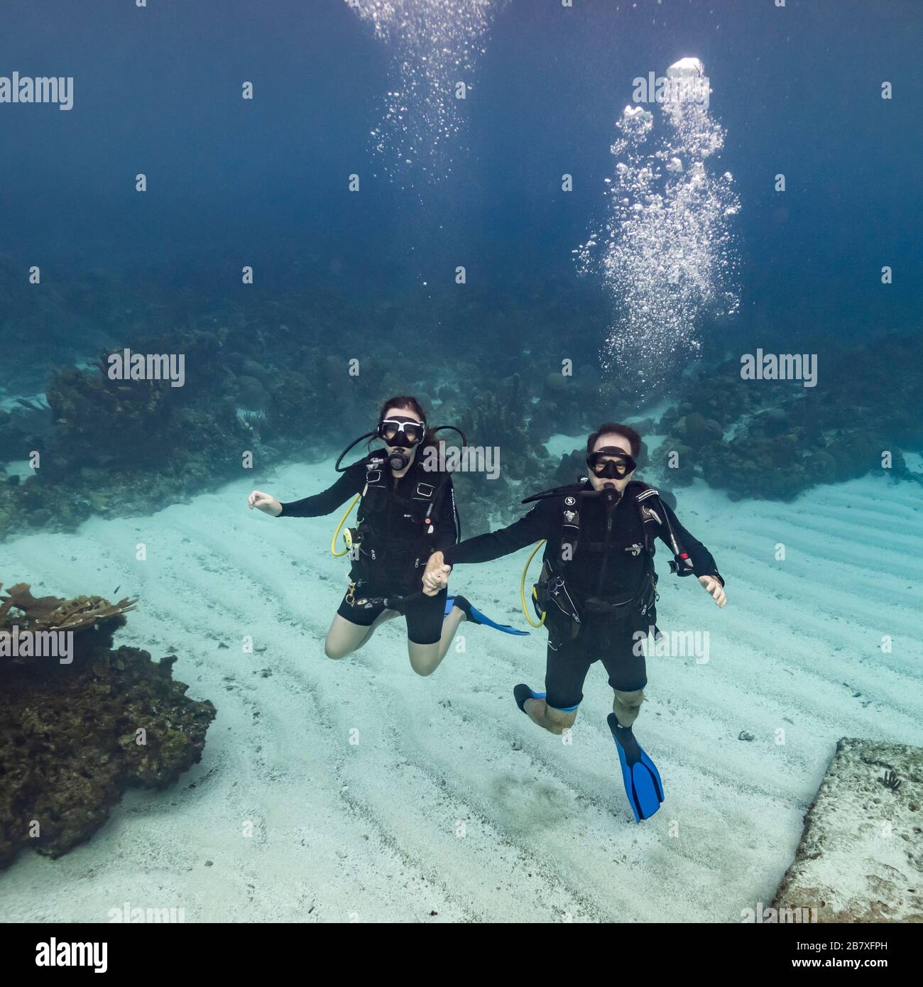 Hands of ocean diver hi-res stock photography and images - Alamy