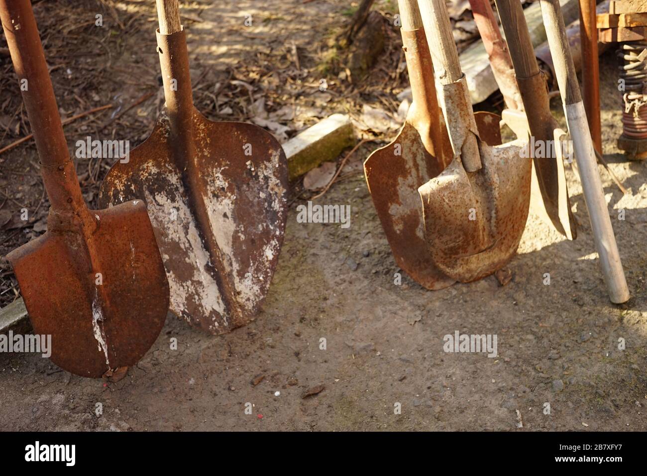Many shovels hi-res stock photography and images - Alamy