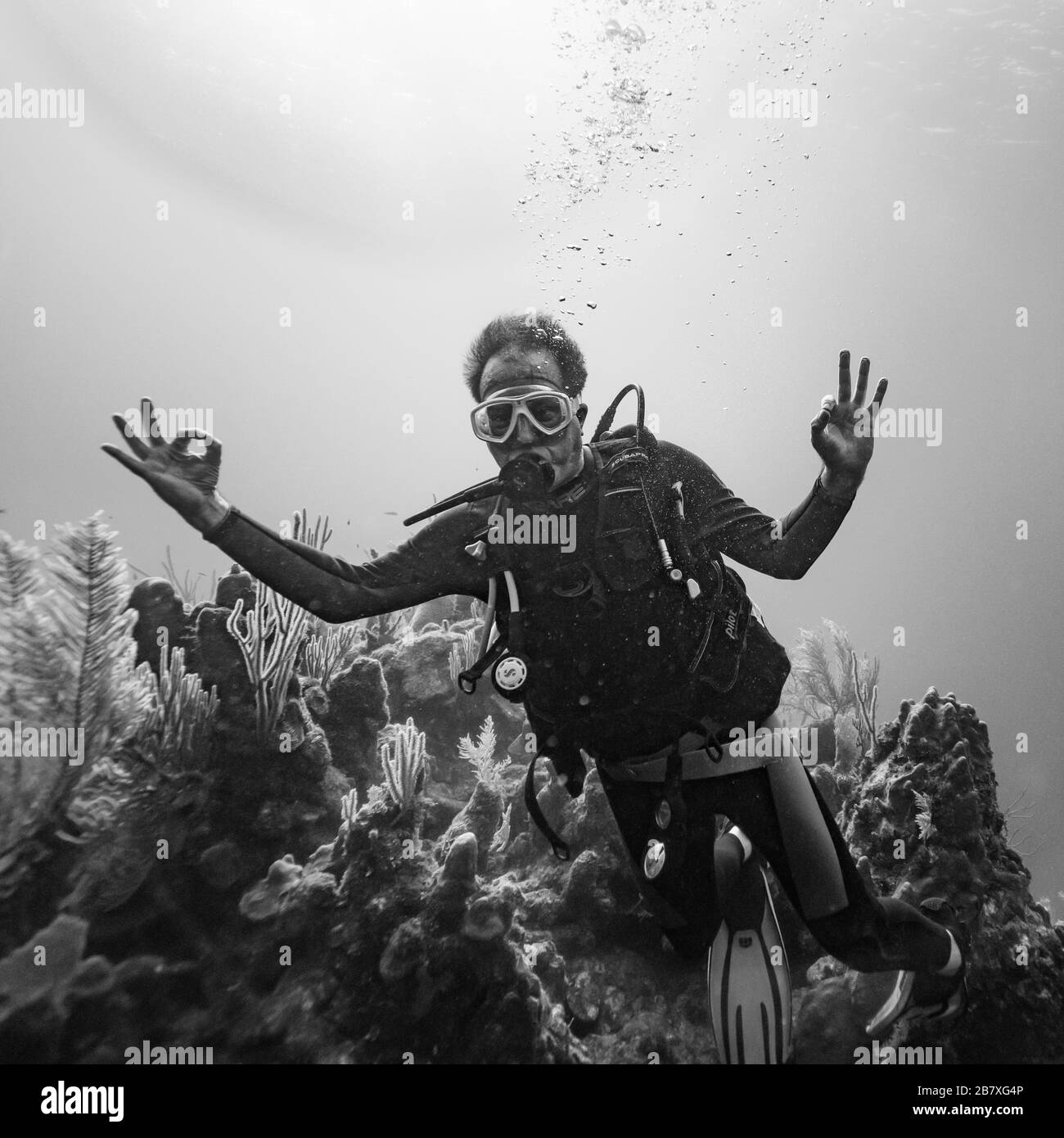 Scuba diver showing OK sign, Fish Den, Roatan Marine Park, Honduras ...