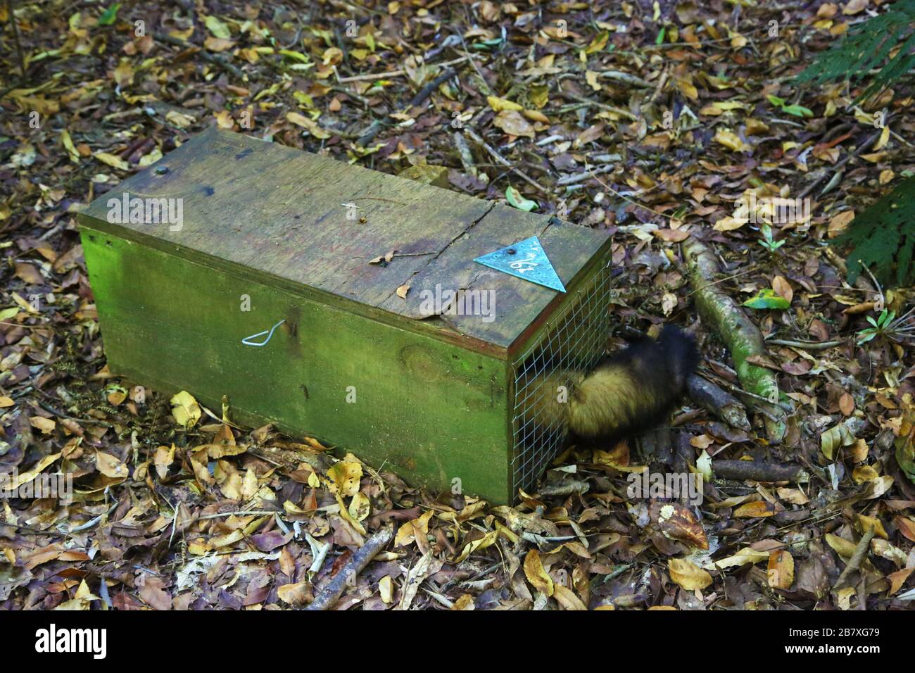 Predator trap hi-res stock photography and images - Alamy