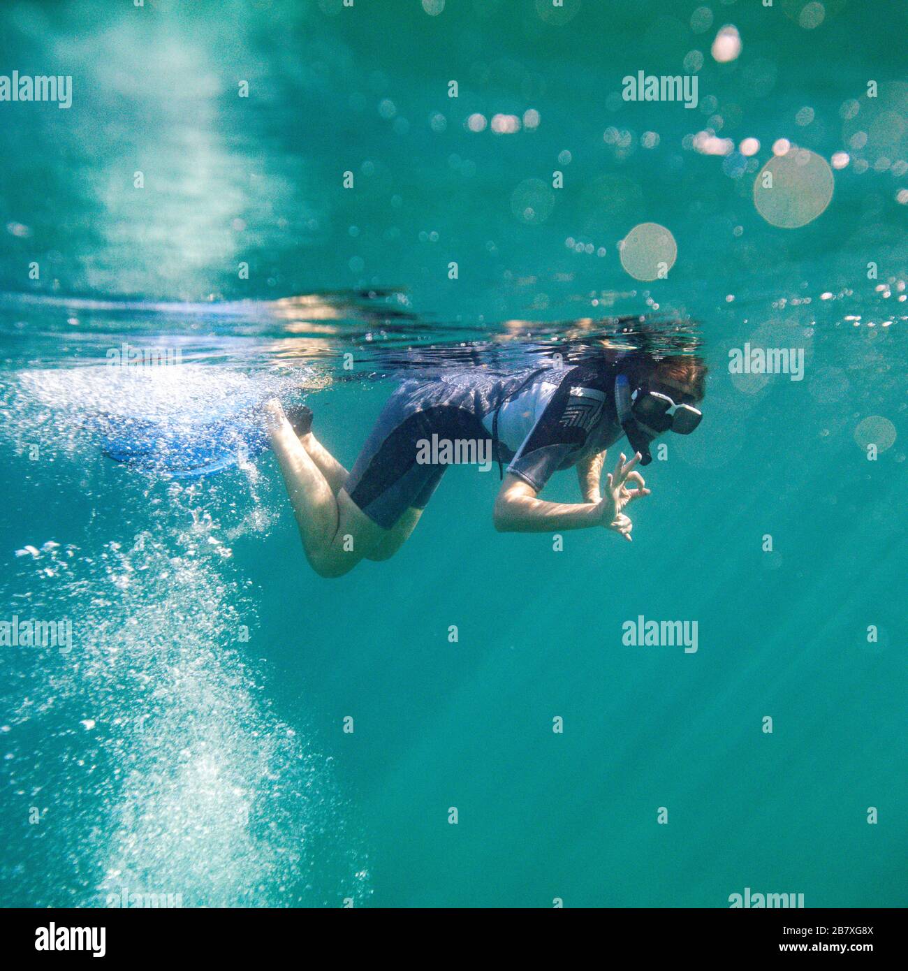 Woman snorkelling underwater, Cemetery Wall Dive Site, Roatan, Honduras ...