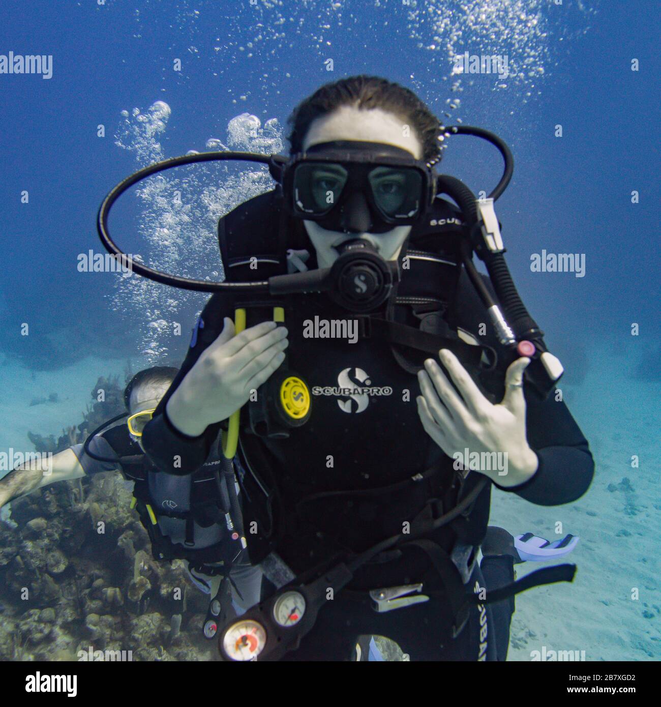 Scuba divers underwater, Deep Quest Dive Site, Roatan, Honduras Stock ...