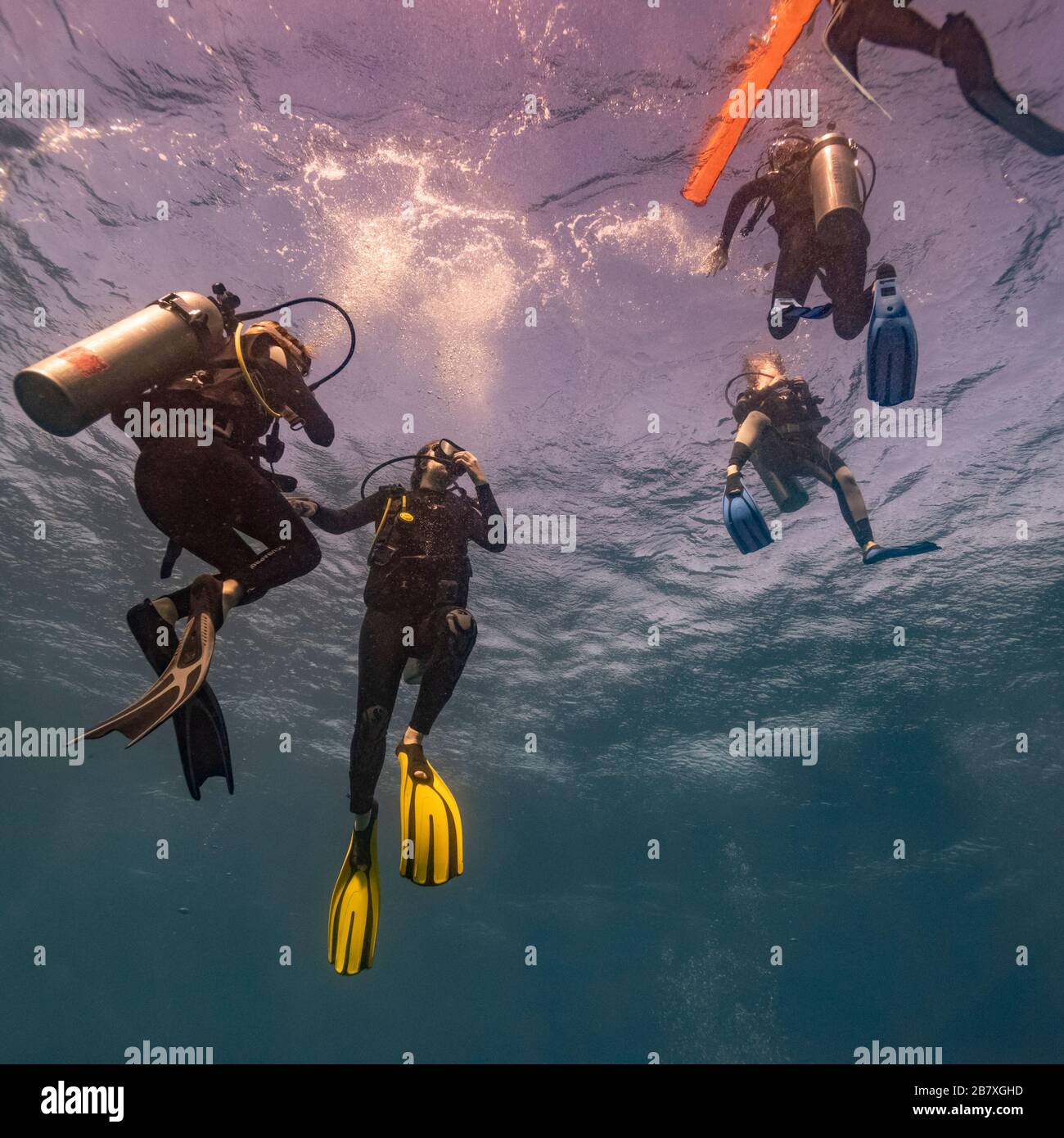 Dive Site - West End Wall Stock Photo - Alamy