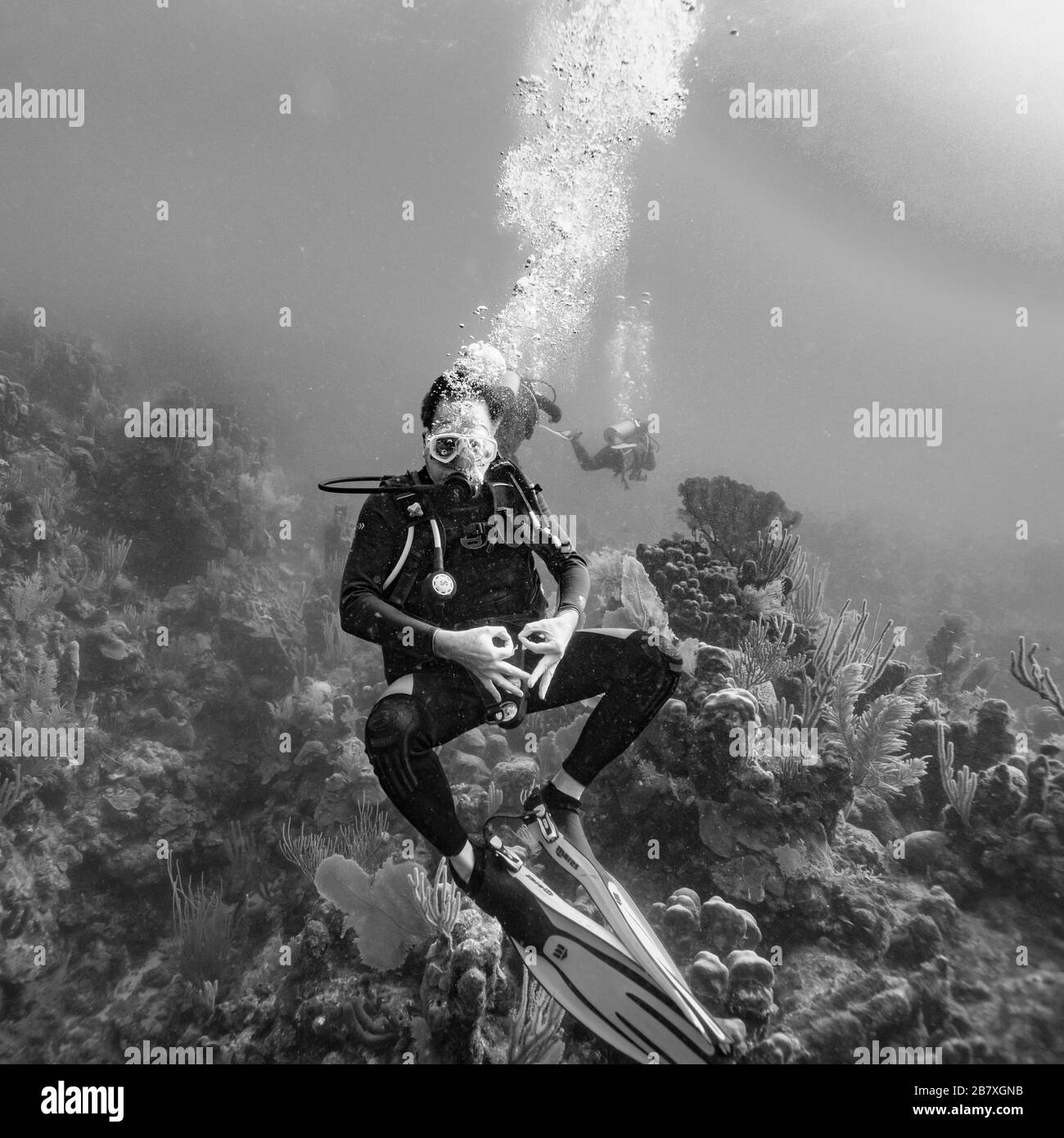 South Side of Roatan Island - Dive Site - Cemetary Wall Stock Photo - Alamy