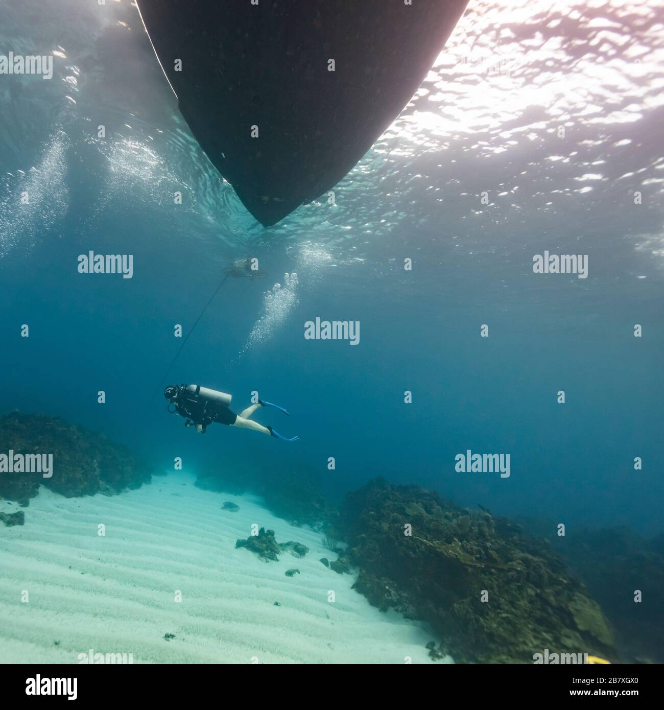 South Side of Roatan Island - Dive Site - Cemetary Wall Stock Photo - Alamy