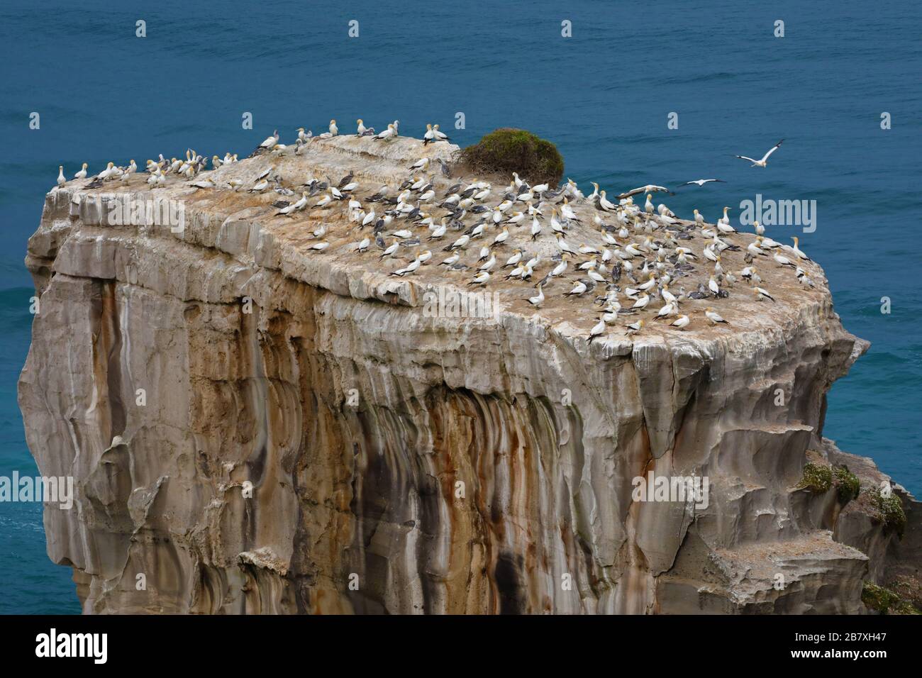 Marine stack hi-res stock photography and images - Alamy