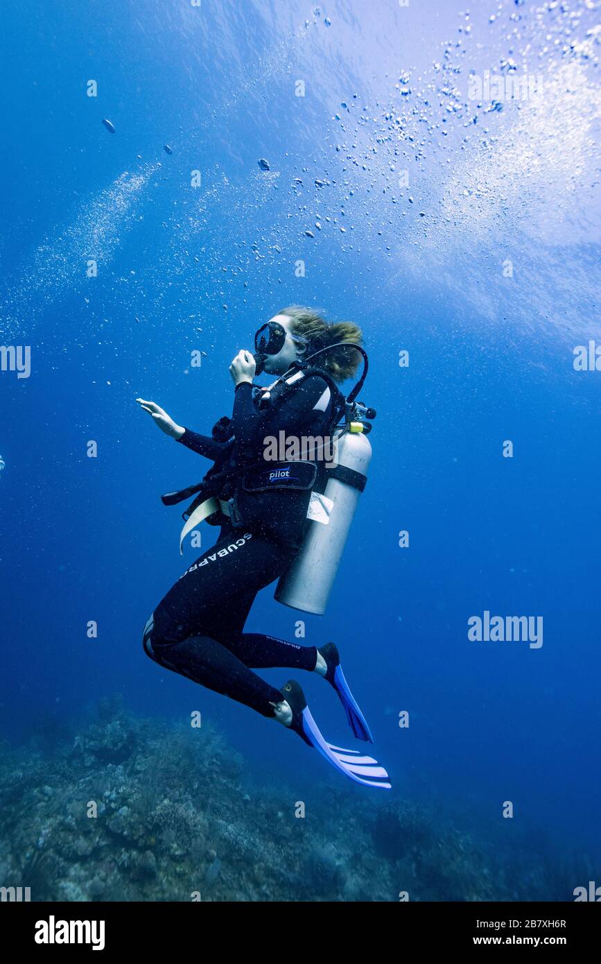 Dive Site - Blue Channel Stock Photo - Alamy