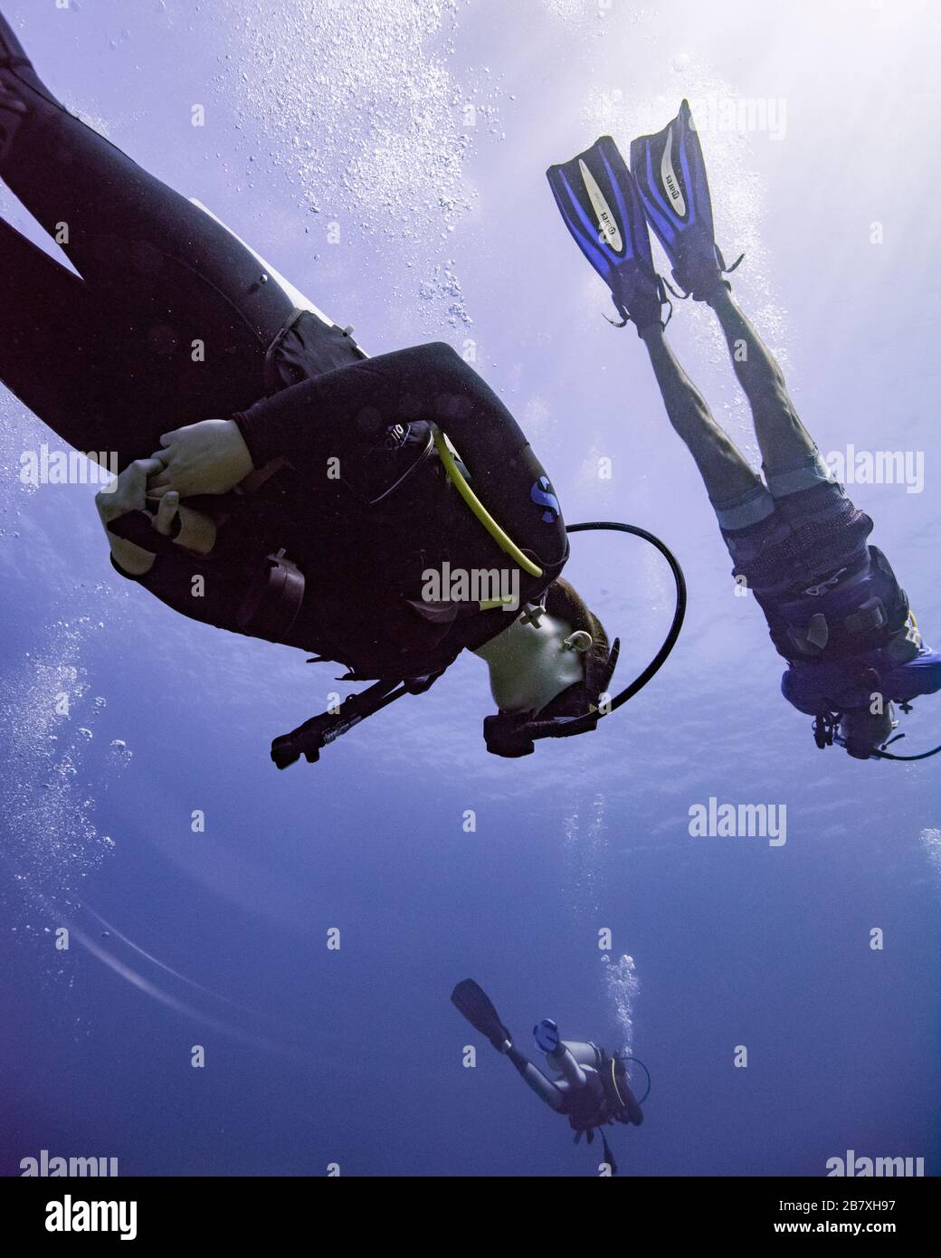 South Side of Roatan Island - Dive Site - Cemetary Wall Stock Photo - Alamy